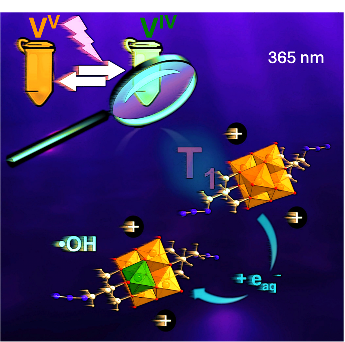 IOM Leipzig: Reversible optische Umschaltung von Polyoxovanadaten und ...